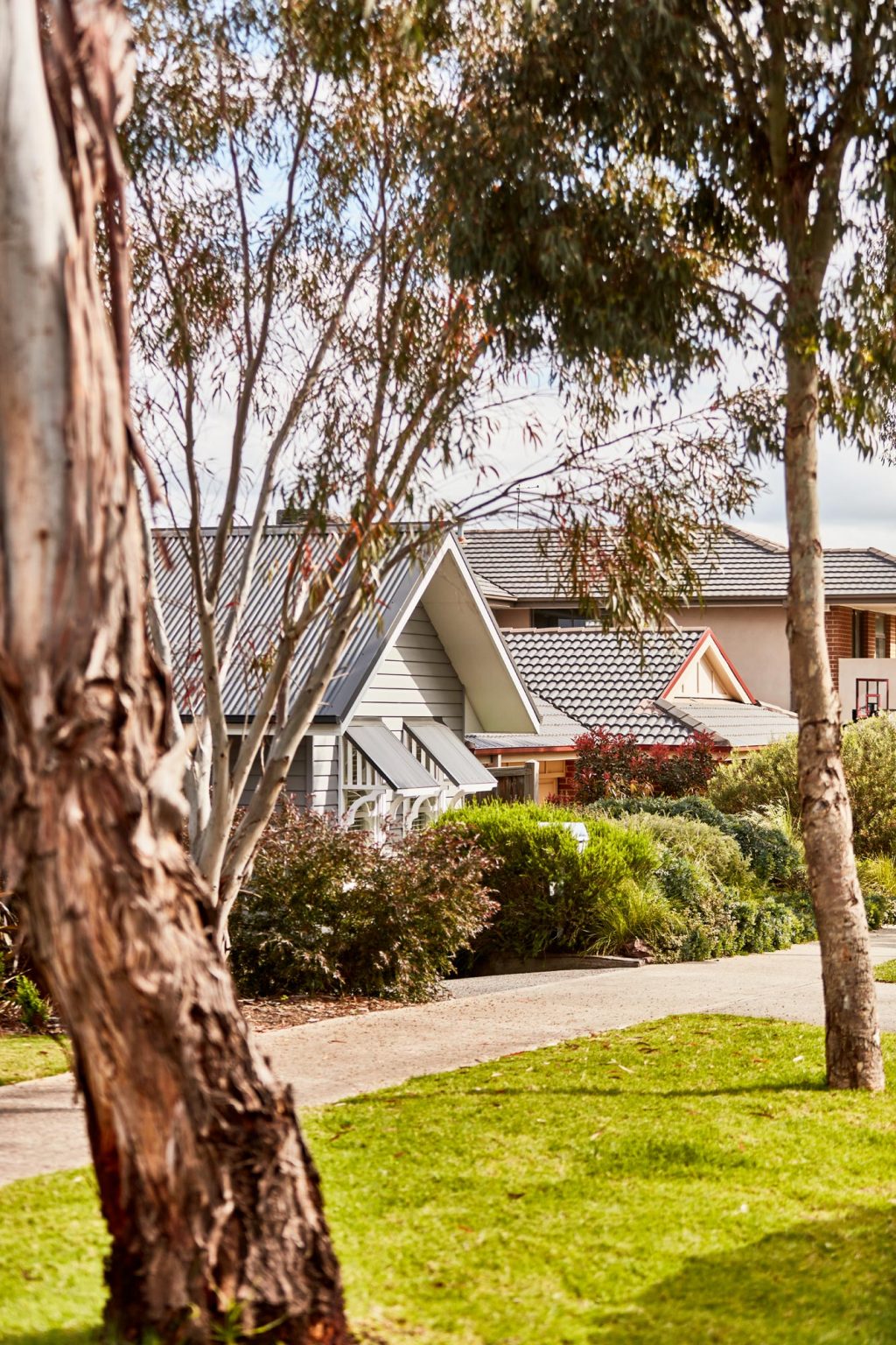 Say hello to your newest neighbours - Botanic Ridge